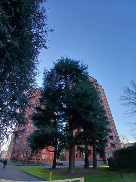 Recensione Samsung Galaxy A16 (e A16 5G): il bestseller di Samsung si ...